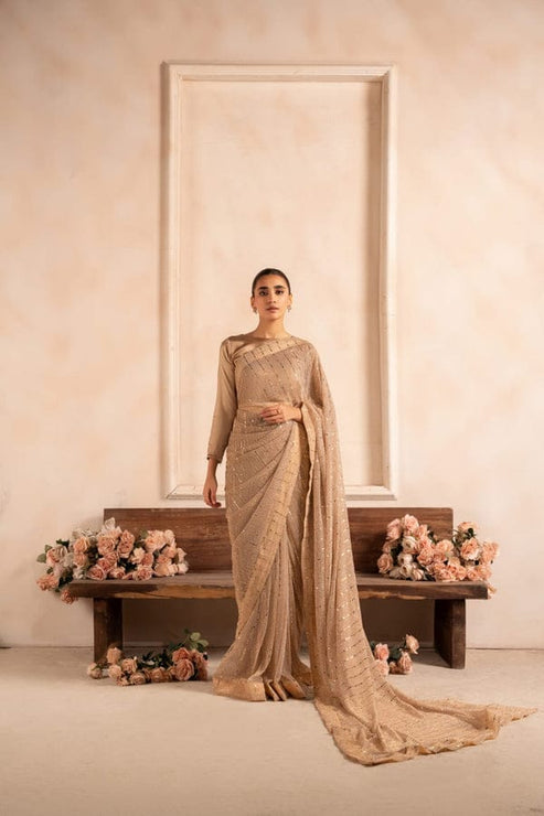 Moonlight Saree with Elegant look – DRESSIFY SHOPS