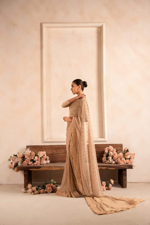 Moonlight Saree with Elegant look – DRESSIFY SHOPS